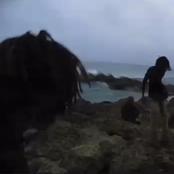 defficile Albums: songs, discography, biography, and listening guide ...