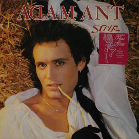 Adam Ant Albums: songs, discography, biography, and listening guide ...