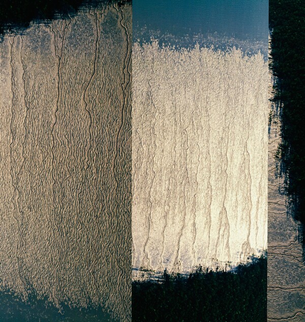 Rares Albums: songs, discography, biography, and listening guide - Rate ...