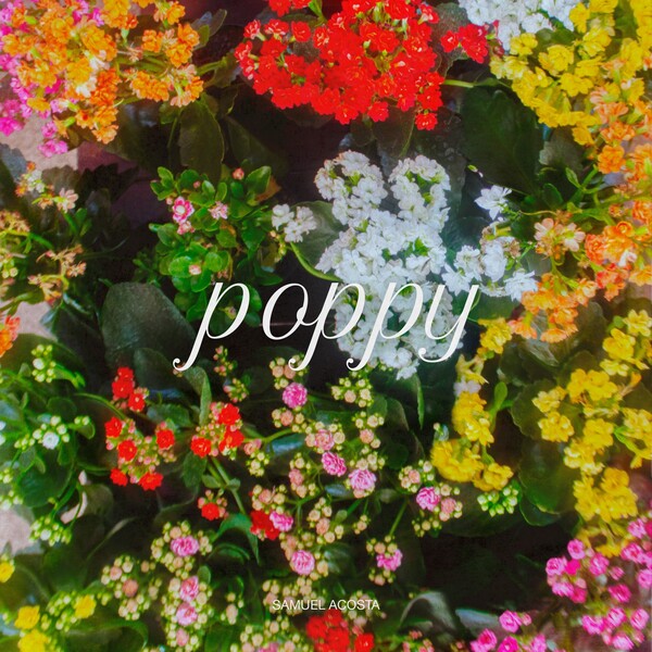 Poppy by Samuel Acosta (Single, Indie Pop): Reviews, Ratings, Credits ...
