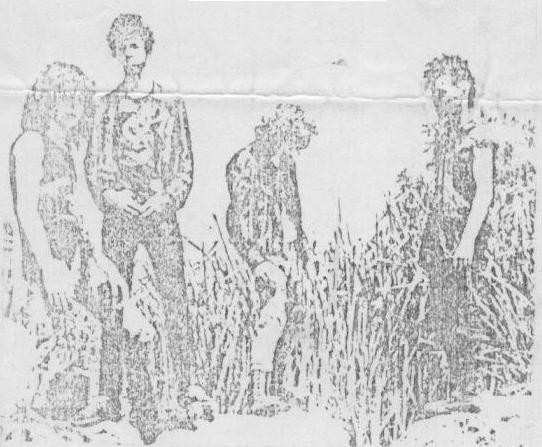 Guerrilha Albums: songs, discography, biography, and listening guide ...