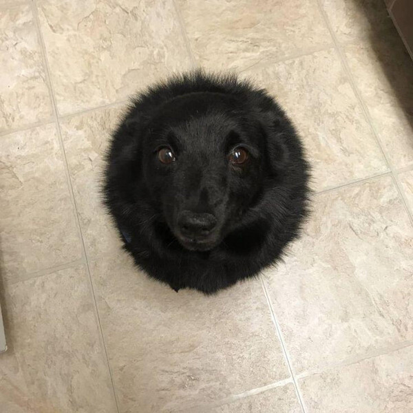 [Untitled New Thing] by Noise Machine Hallucinations (Additional ...