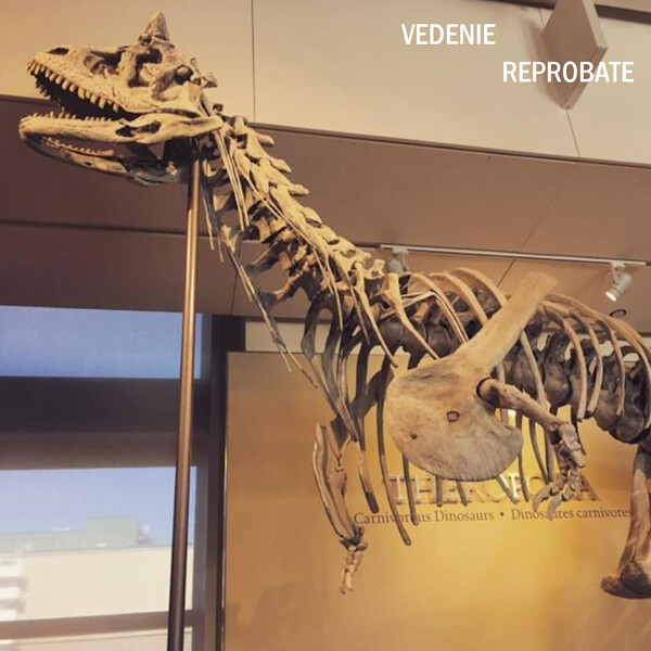 Reprobate by Vedenie (Single): Reviews, Ratings, Credits, Song list ...