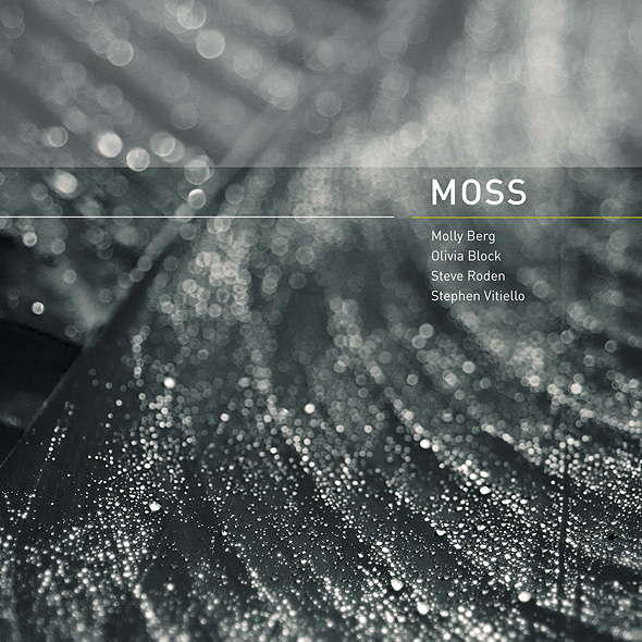 Moss Albums: songs, discography, biography, and listening guide - Rate ...