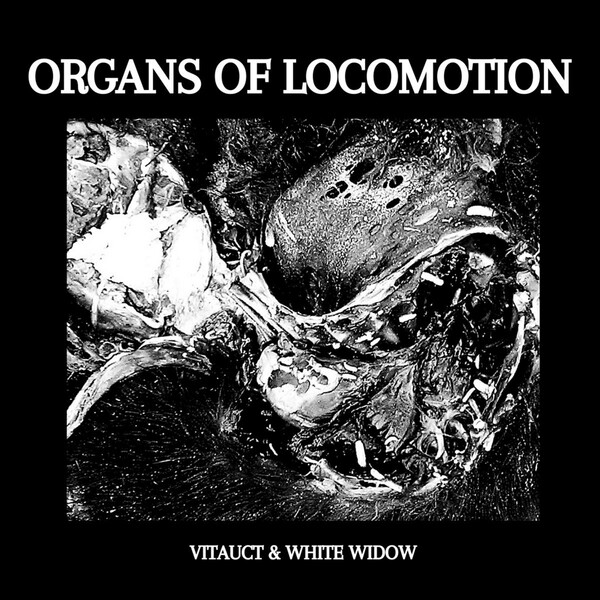 Organs of Locomotion by Vitauct & White Widow (Album): Reviews, Ratings ...