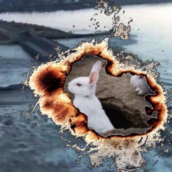 the playing card, also mCOPYCATostly white, they stick out brightly in ...