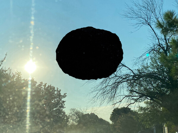 Downward Fractalizing Venule Matrix and Self-Refracting Marrow Adipose ...