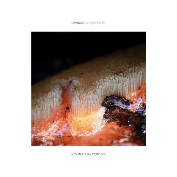 Mycological Patterns by Deepchild (Album, Ambient): Reviews, Ratings ...