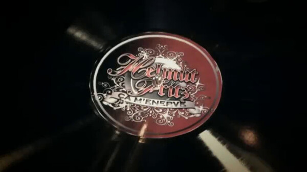 Ça m'énerve by Helmut Fritz (Music video, Dance-Pop): Reviews, Ratings ...