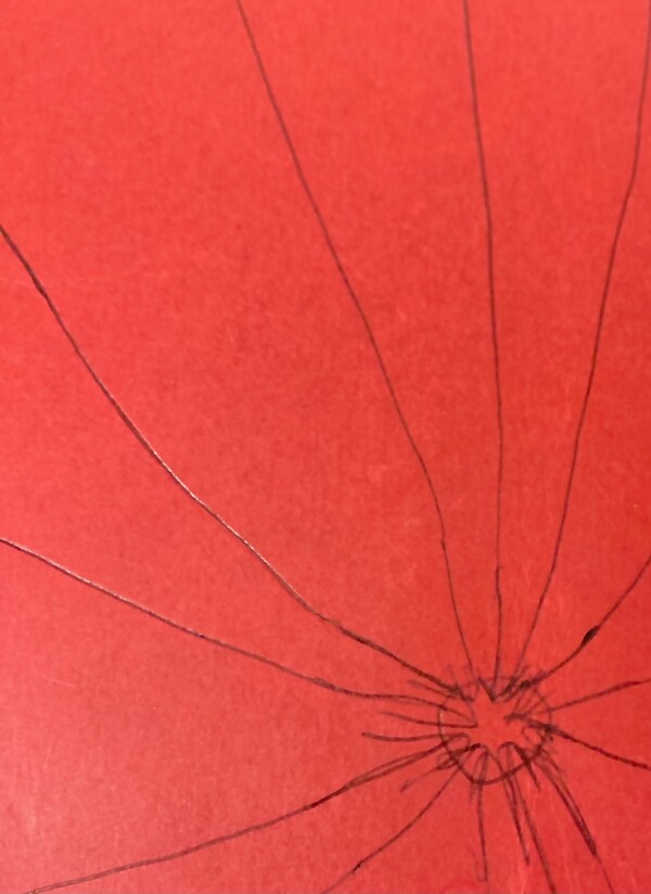 Earth Moon Transit Albums: songs, discography, biography, and listening ...