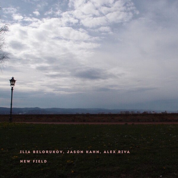 New Field by Ilia Belorukov, Jason Kahn & Alex Riva (Album): Reviews ...