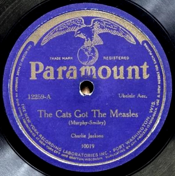 The Cat's Got the Measles / I Got What It Takes But It Breaks My Heart ...