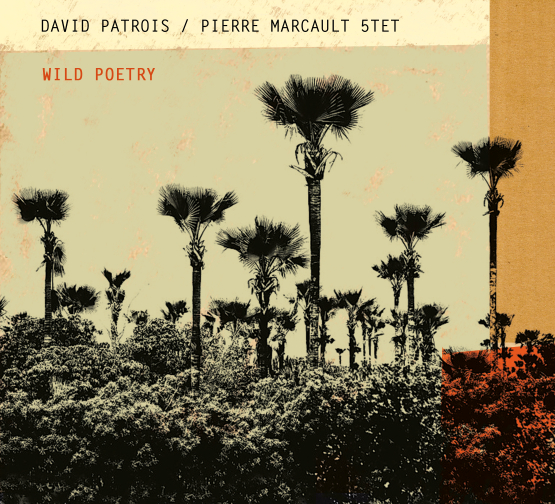 Wild Poetry by David Patrois / Pierre Marcault 5tet (Album): Reviews ...