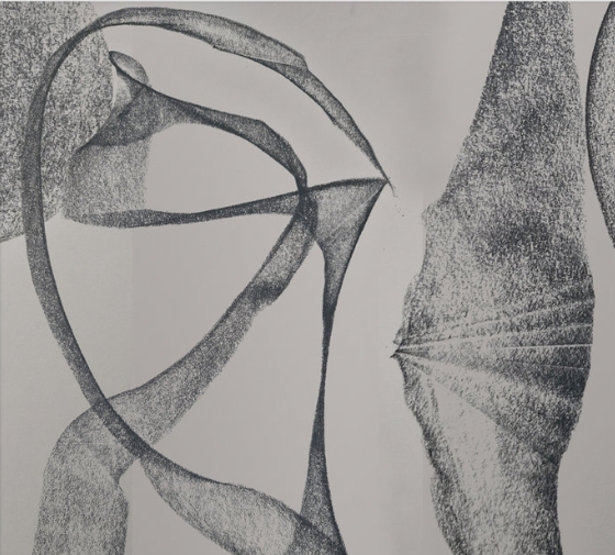 Organelles by Kate Carr & Matt Atkins (Album): Reviews, Ratings ...