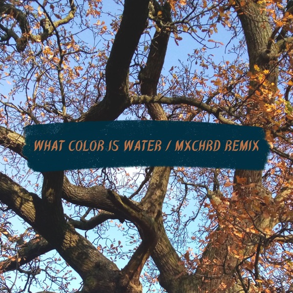 What Color Is Water (MXCHRD Remix) by doglantic (Single): Reviews ...