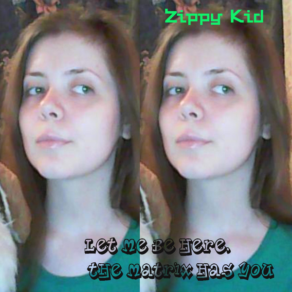 Let Me Be Here, the Matrix Has You by Zippy Kid (Single): Reviews ...