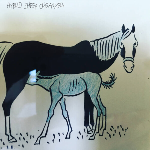 Hybrid Sheep Organizer Albums: songs, discography, biography, and ...