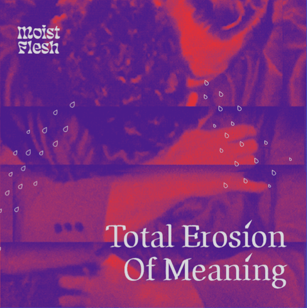 Total Erosion of Meaning by Moist Flesh (Album): Reviews, Ratings ...