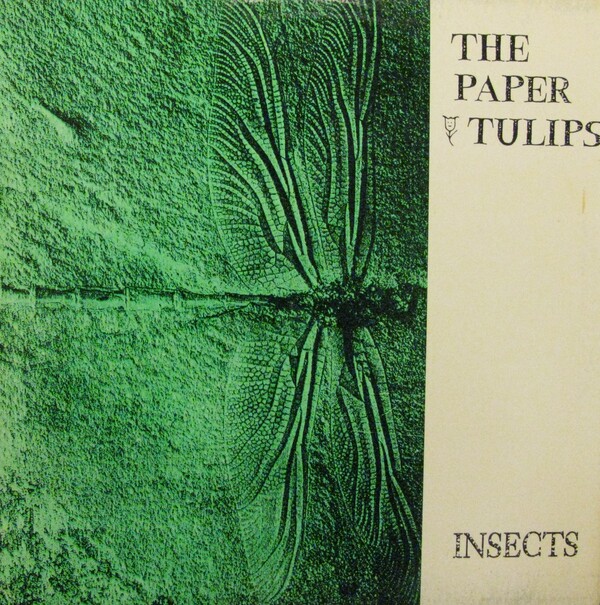 The Paper Tulips Albums: songs, discography, biography, and listening ...