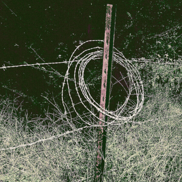 The Swamp Mansion of the Crocodile People / Hellfire & Honeycomb by ...