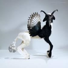 Best Dark Alternative Music of 2026 - Rate Your Music