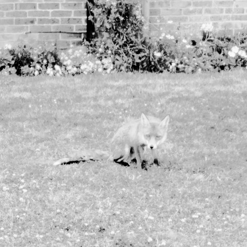 Clive Graham Albums: songs, discography, biography, and listening guide ...