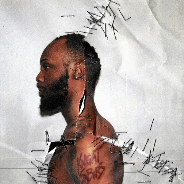 JPEGMAFIA RANKED - Rate Your Music