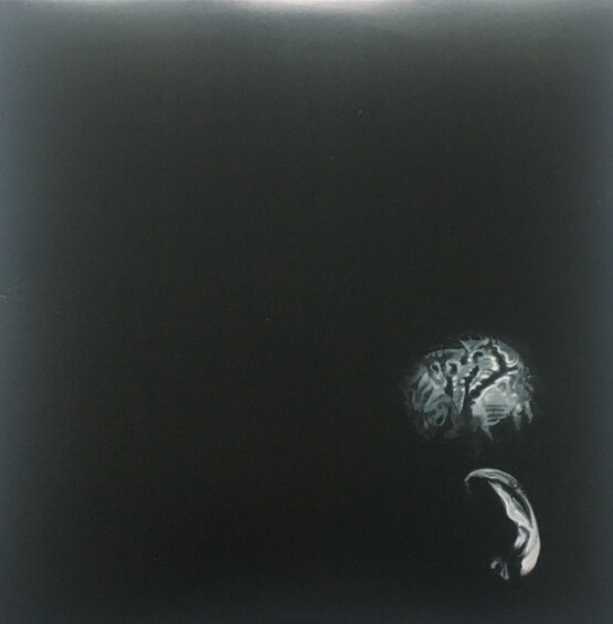 Hypnagogia by Nola Ranallo (Album, Avant-Folk): Reviews, Ratings ...