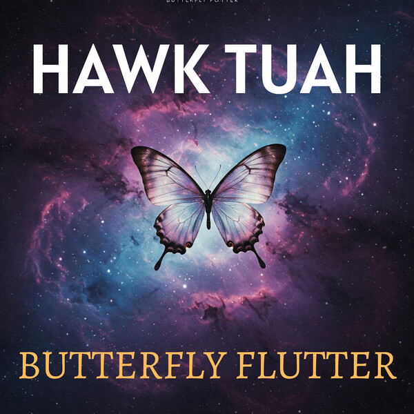 Butterfly Flutter by Hawk Tuah (Album): Reviews, Ratings, Credits, Song ...