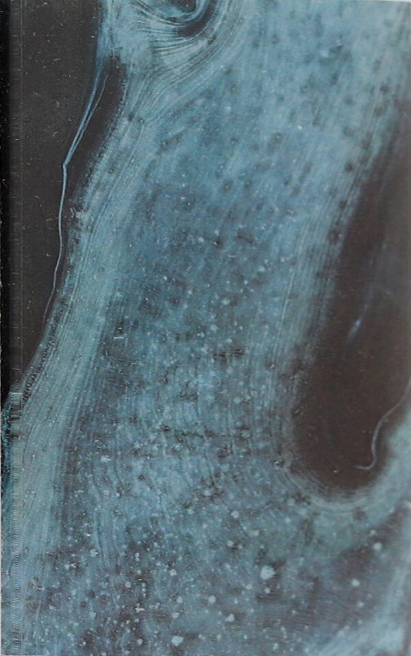 Stress hydrique by Jean-Baptiste Geoffroy (Album; Dinzu Artefacts ...