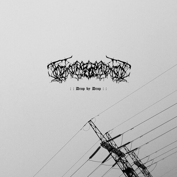 Drop by Drop by That Distant Void (Album, Depressive Black Metal ...