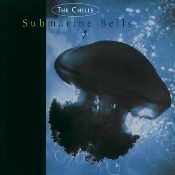 The Chills Albums: songs, discography, biography, and listening guide ...