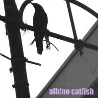Albino Catfish Albums: songs, discography, biography, and listening ...