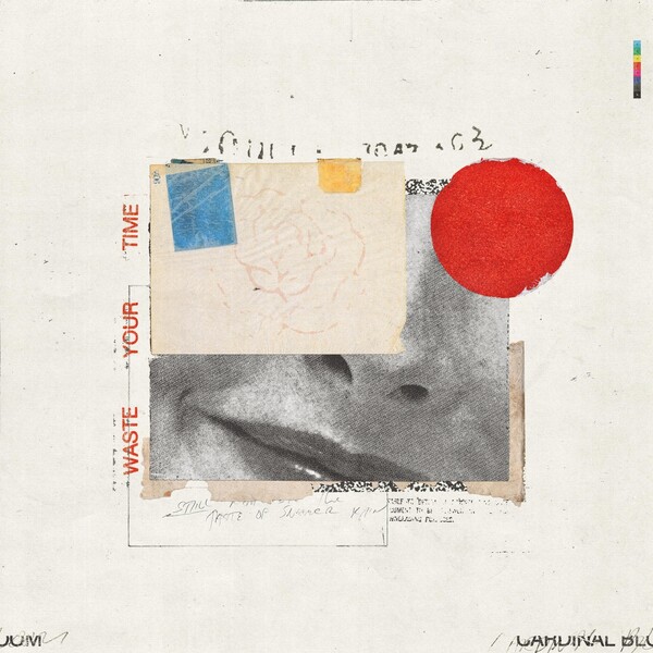 Waste Your Time by Cardinal Bloom (Single): Reviews, Ratings, Credits ...