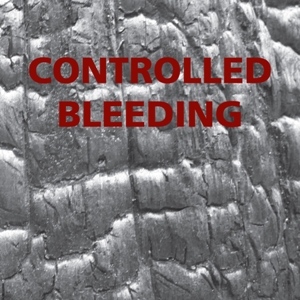 Odes to Bubbler by Controlled Bleeding (Album, Noise Rock): Reviews, Ratings, Credits, Song list ...