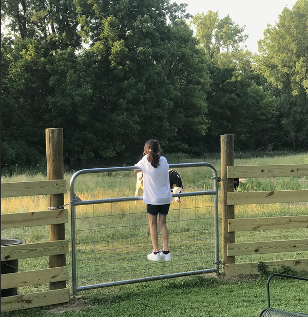 Rachel Prancer Albums: songs, discography, biography, and listening ...