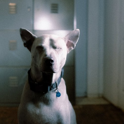 Splitting Edges Albums: songs, discography, biography, and listening ...