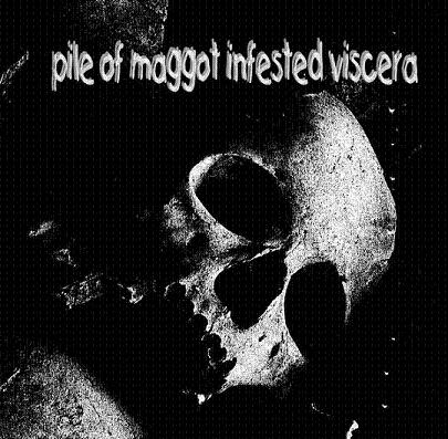 Pile of Maggot Infested Viscera Albums: songs, discography, biography ...