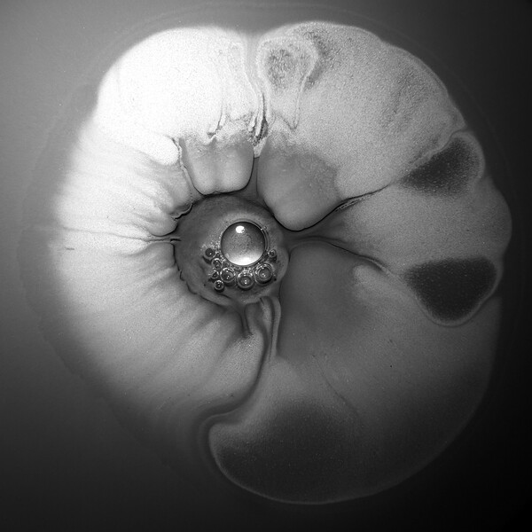 Ocotillo by Floating Points (Single, Progressive Electronic): Reviews ...