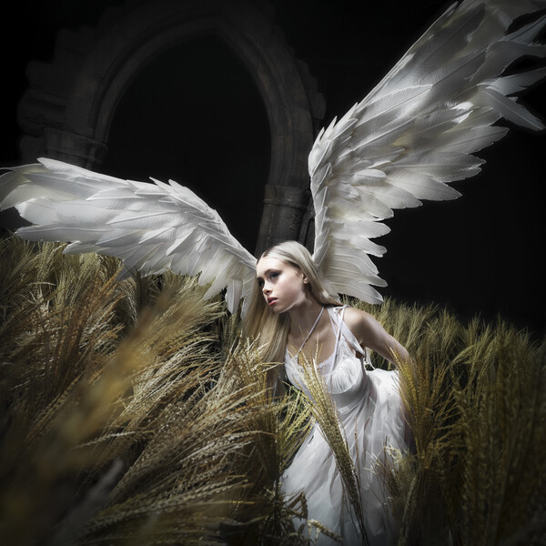 Erin LeCount Albums: songs, discography, biography, and listening guide ...