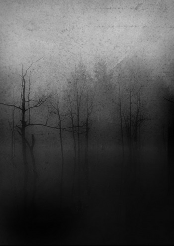 A Sapless Leave Withering in the Night Fog by Dark Fount (Album, Black ...
