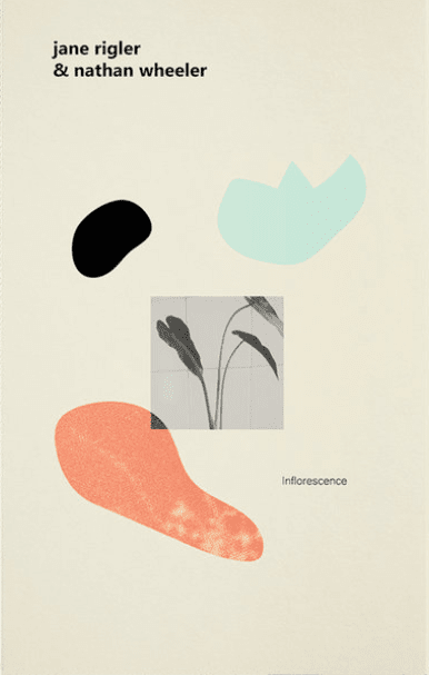 Inflorescence by Jane Rigler & Nathan Wheeler (Album): Reviews, Ratings ...