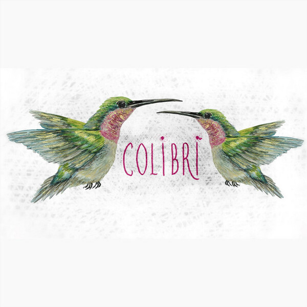 Colibrí by Leticia Servín (Single, A cappella): Reviews, Ratings ...