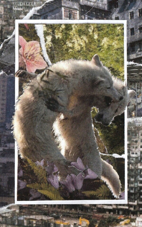 Touch Starved / Biofilmi by Touch Starved / Biofilmi (Album, Noise ...