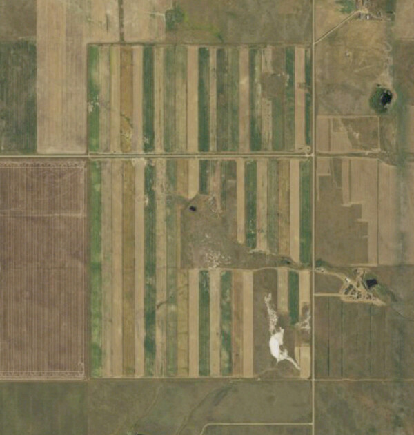 Early Harvest by Landon George (EP): Reviews, Ratings, Credits, Song ...