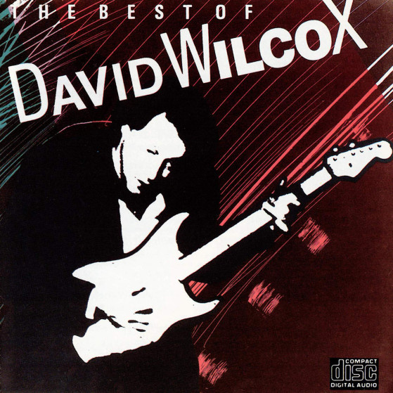 The Best of David Wilcox by David Wilcox (Compilation): Reviews ...