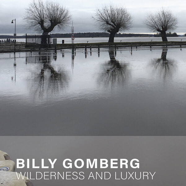 Wilderness and Luxury by Billy Gomberg (Album, Ambient): Reviews ...