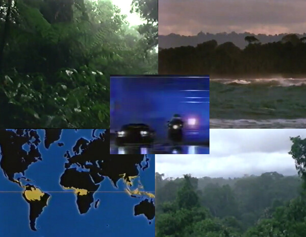 vintage intimate Albums: songs, discography, biography, and listening ...