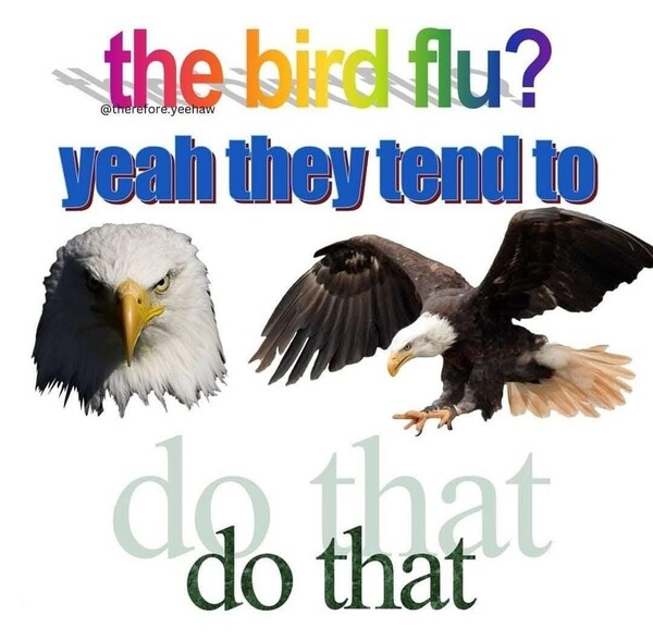 music HATER reviews every top 100 album - Rate Your Music