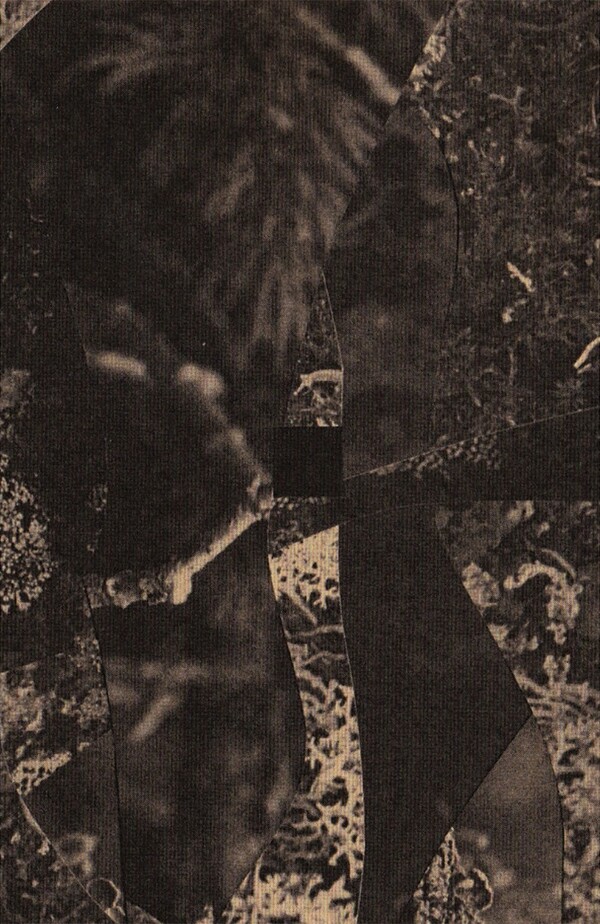 Fields by Mike Majkowski (Album, Electroacoustic): Reviews, Ratings ...